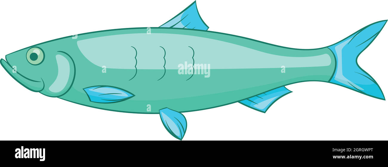 Esturgeon de la baltique Banque d'images vectorielles - Alamy