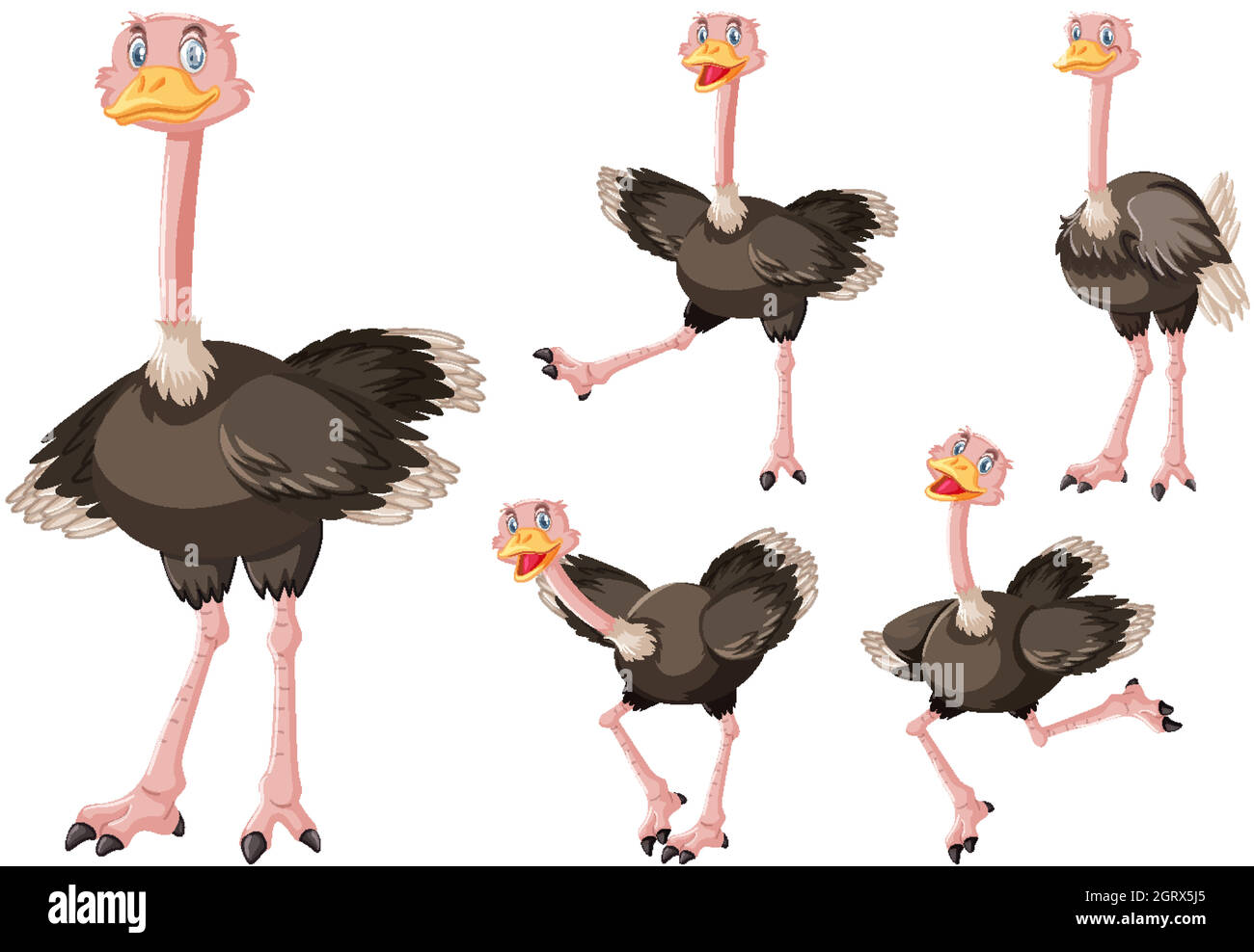 Joli personnage de dessin animé autruche Image Vectorielle Stock - Alamy