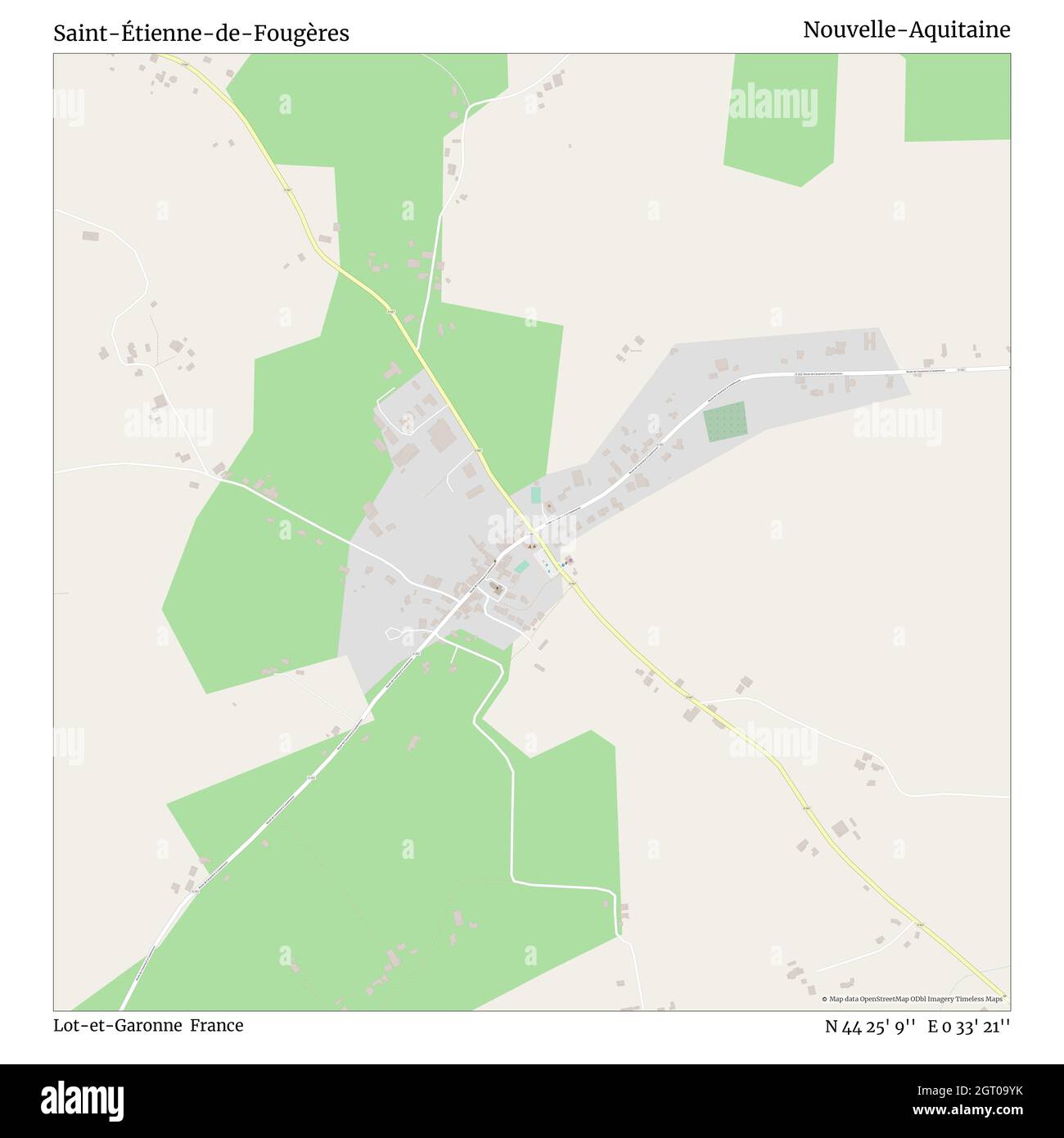 Plan de fougeres Banque de photographies et d’images à haute résolution ...