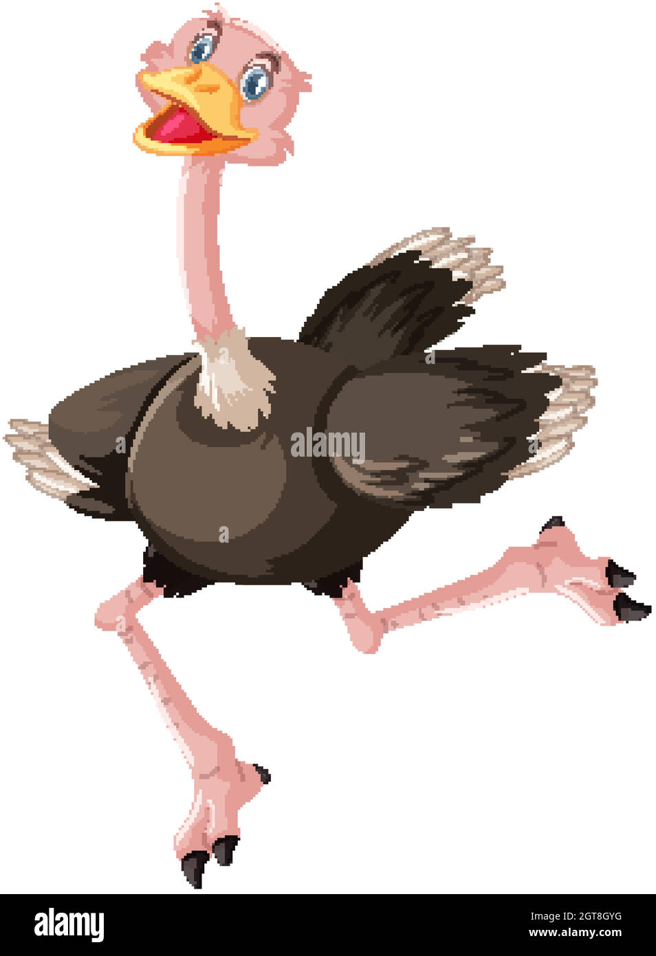 Autruche course Banque d'images vectorielles - Alamy