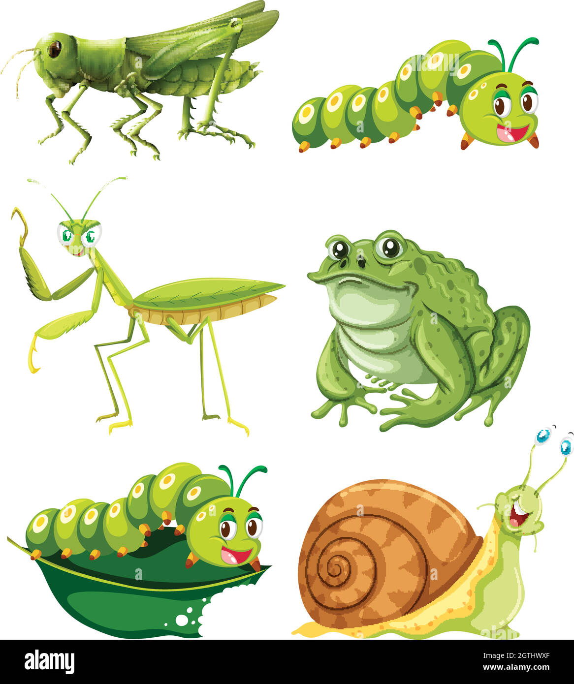 Insectes feuilles Banque d'images vectorielles - Alamy