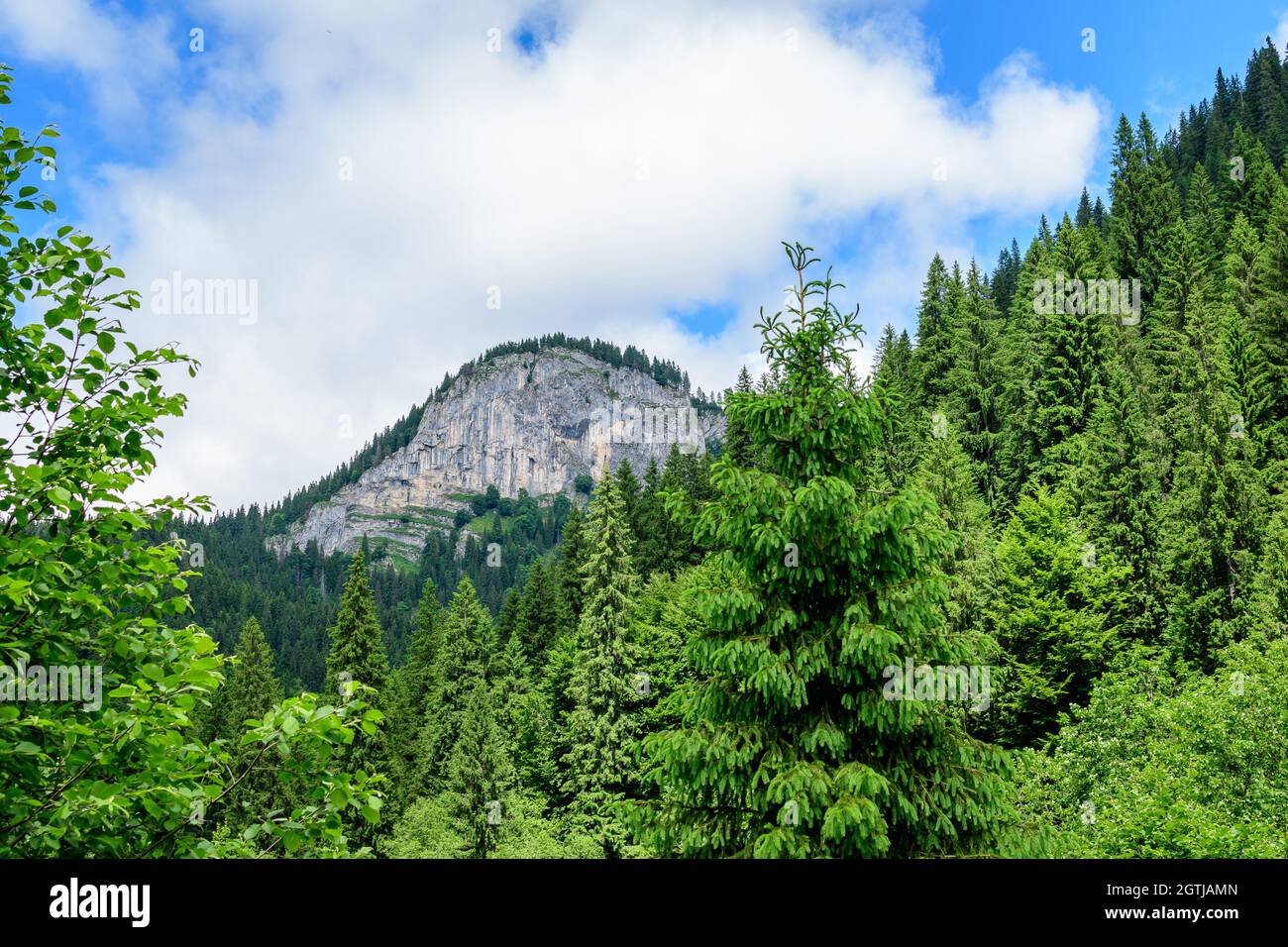 Parc naturel de bucegi Banque de photographies et d’images à haute résolution - Alamy
