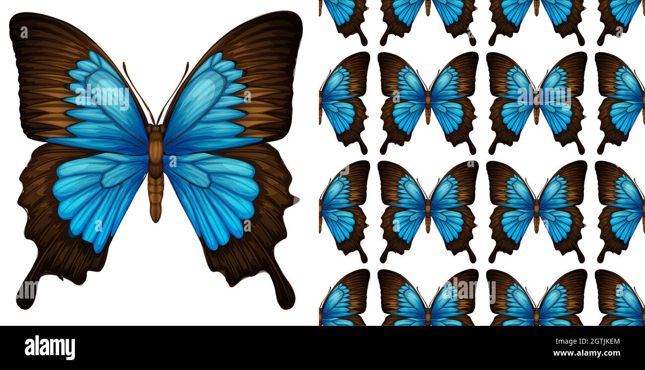 Fond transparent papillon Banque d'images vectorielles - Alamy