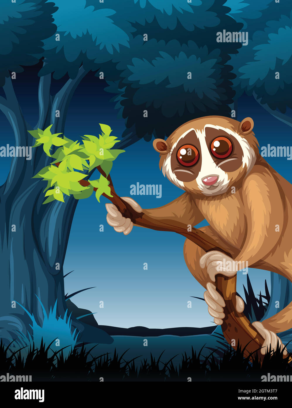 Loris illustration Banque d'images vectorielles - Alamy