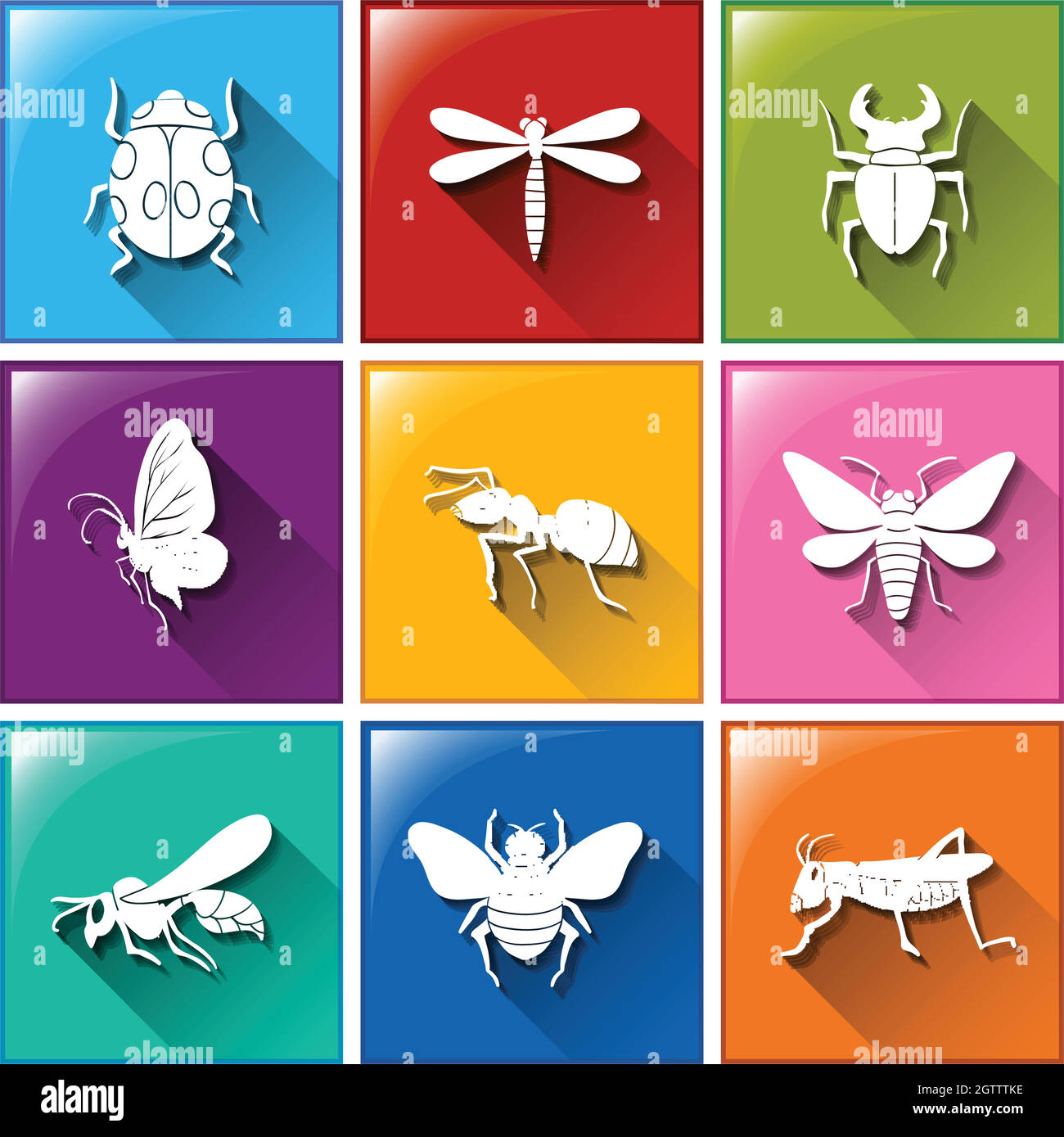 Insectes orange Banque d'images vectorielles - Alamy