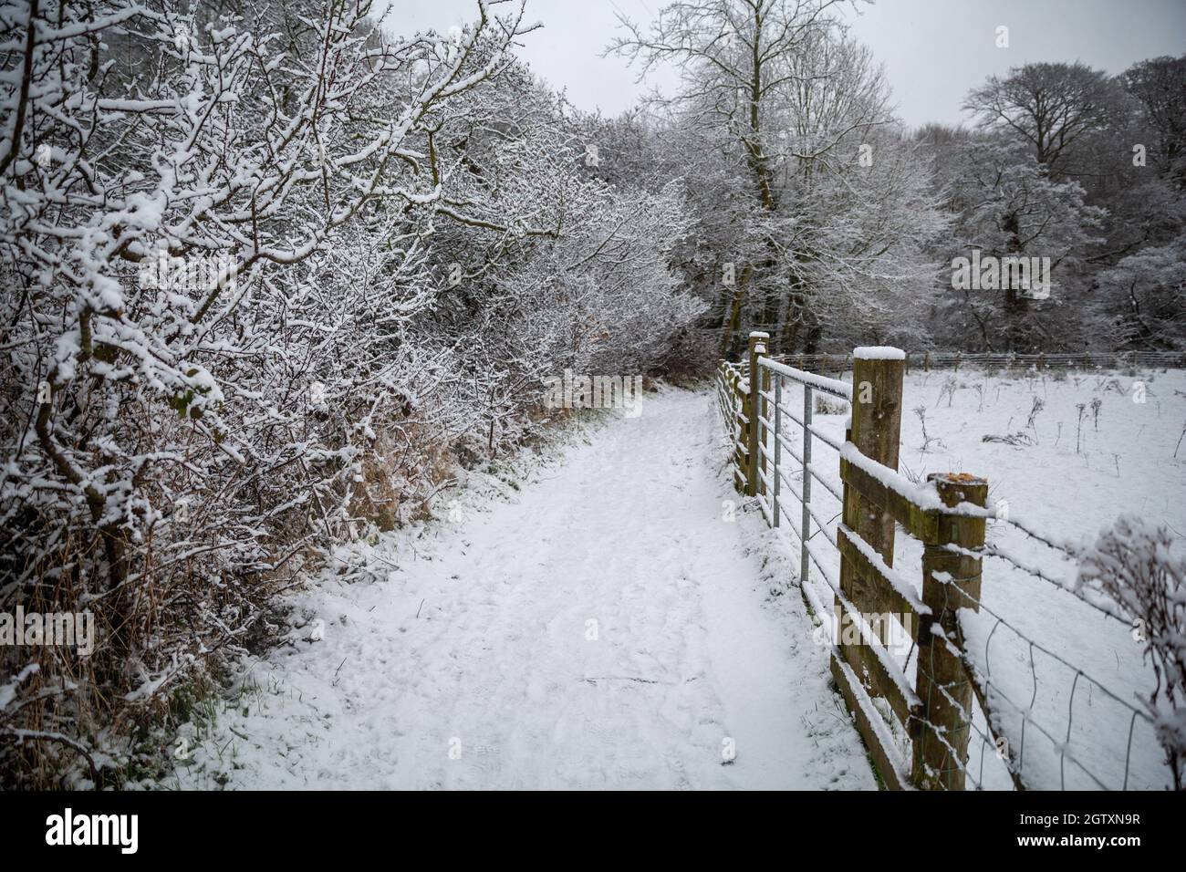 Lagan tow path Banque de photographies et d’images à haute résolution ...
