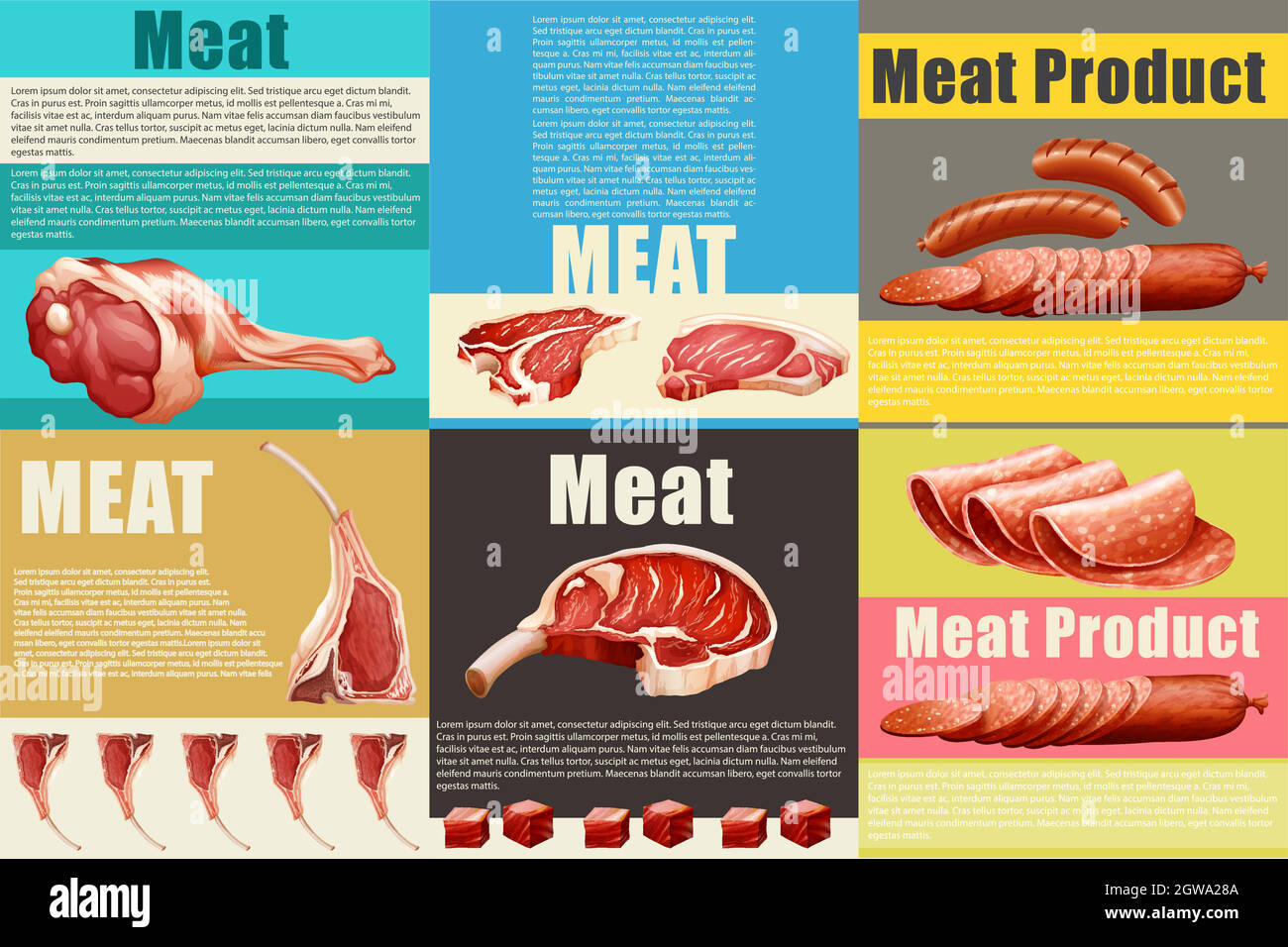 Les Différents Types De Viande - Planetevoix - Organisme