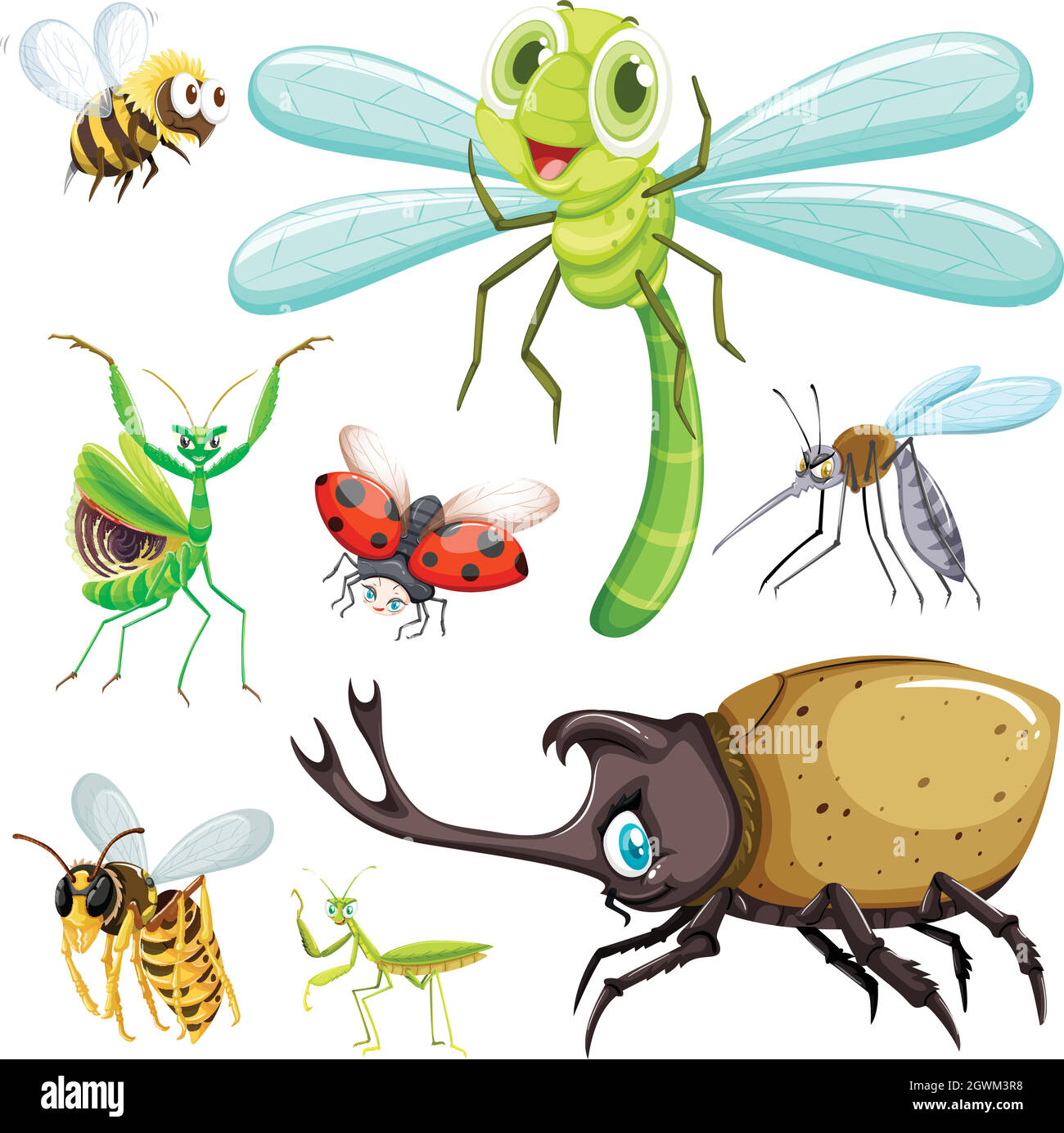 Différents types d'insectes Image Vectorielle Stock - Alamy