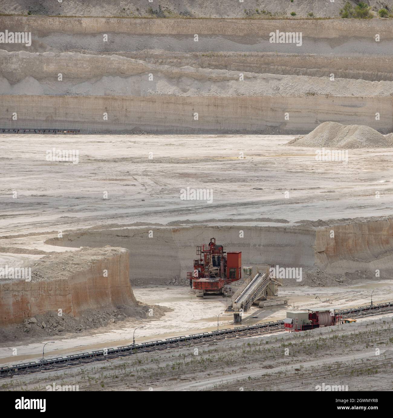 Chalk fossil Banque de photographies et d’images à haute résolution - Alamy