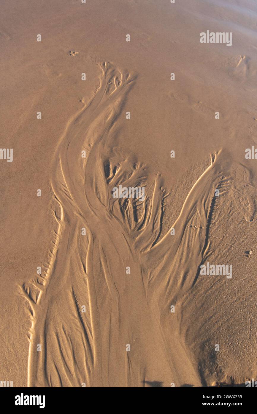Pistes de sable sur la plage Banque de photographies et d’images à ...