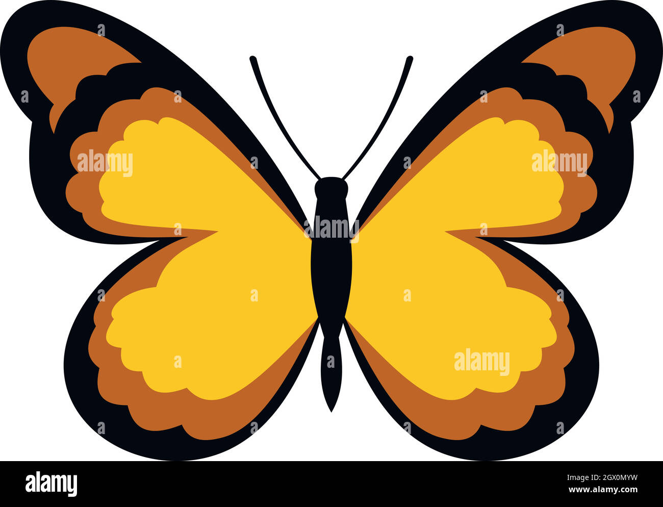 Ailes d'insectes Banque d'images vectorielles - Alamy