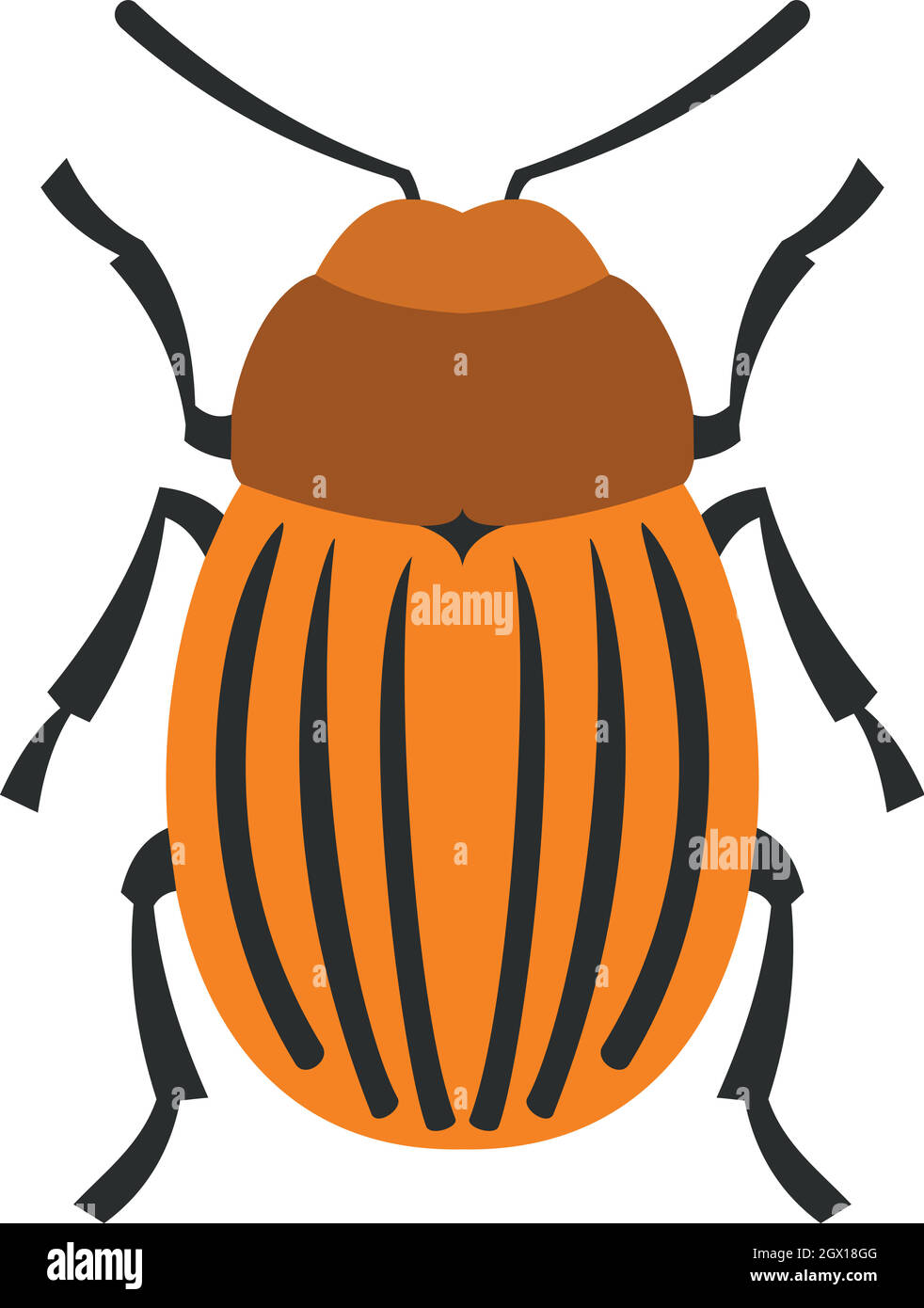 Doryphore de polyclète Banque d'images détourées - Alamy