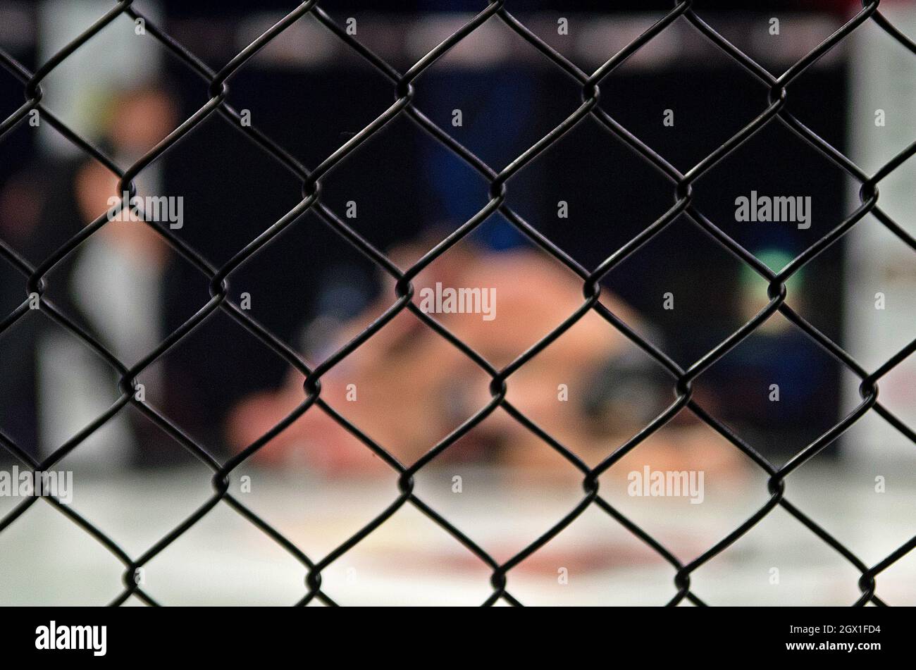 Mma cage fight Banque de photographies et d’images à haute résolution ...