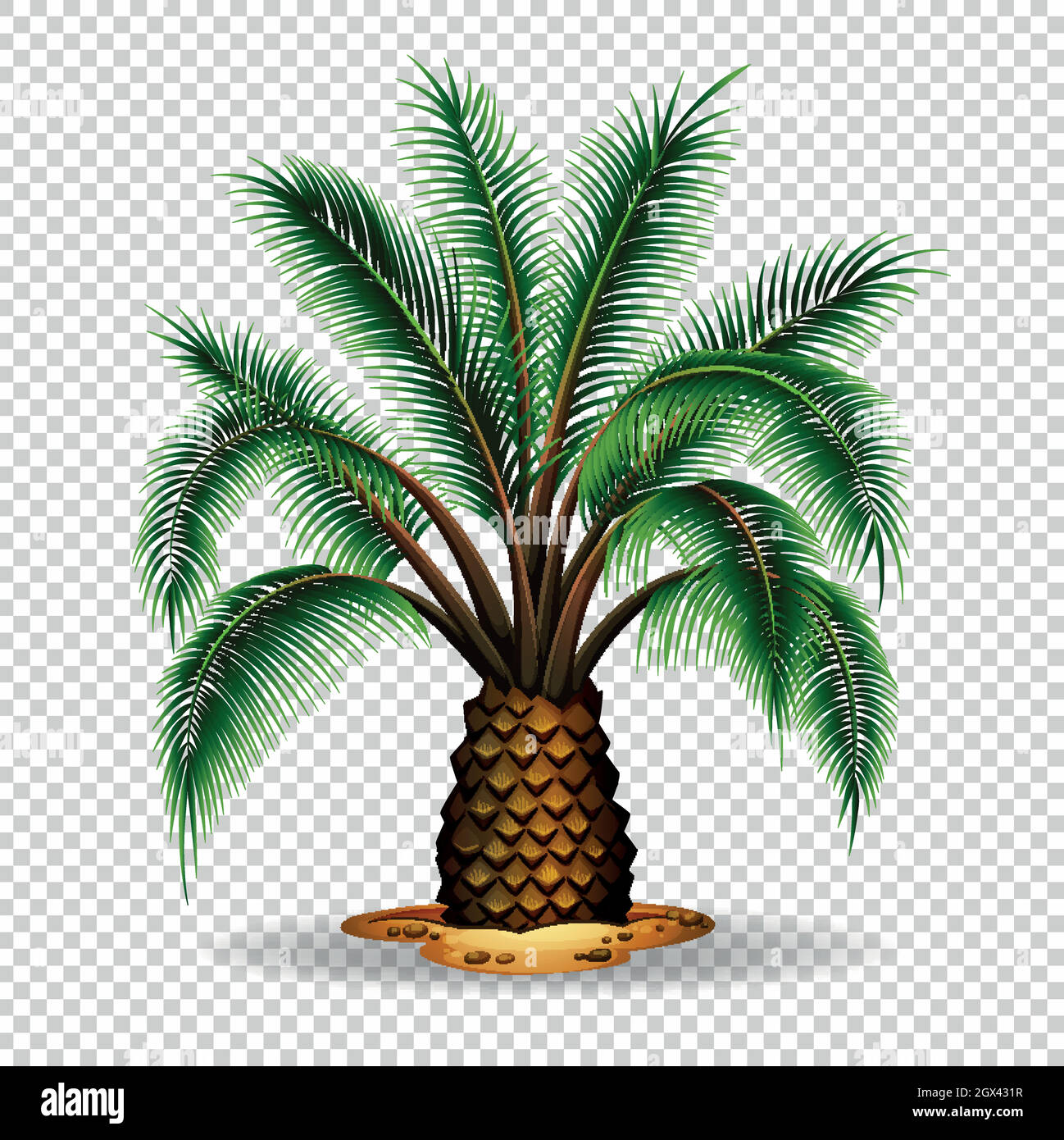 Feuille de palmier sur fond blanc Banque d'images vectorielles - Alamy