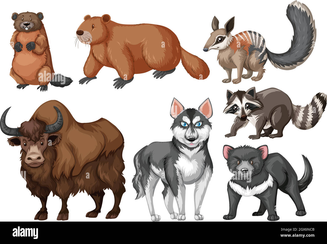 Tipos de animales Banque d'images détourées - Alamy