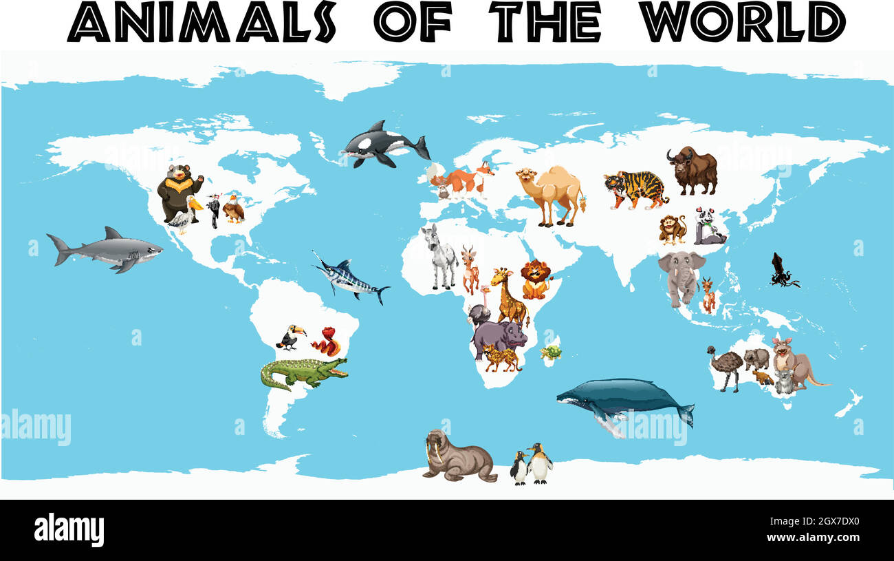 Différents types d'animaux dans le monde sur la carte Image Vectorielle ...