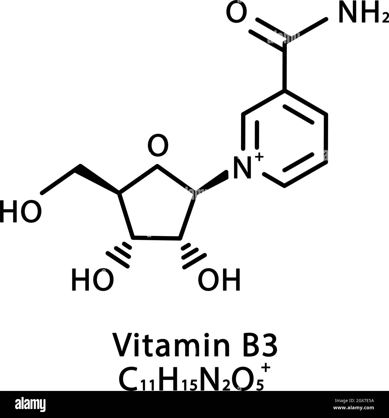 Vitamin b deficiency Banque d'images vectorielles - Alamy