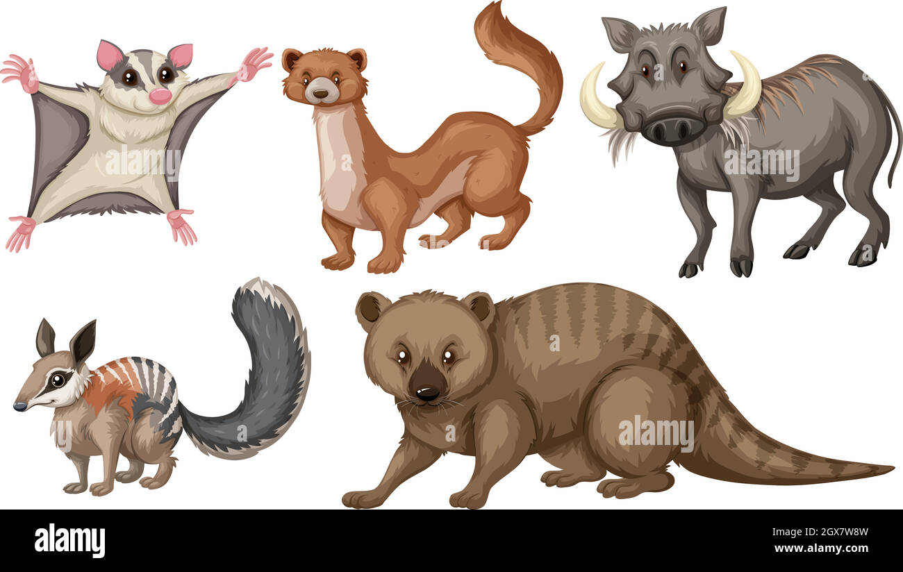 Tipos de animales Banque d'images détourées - Alamy