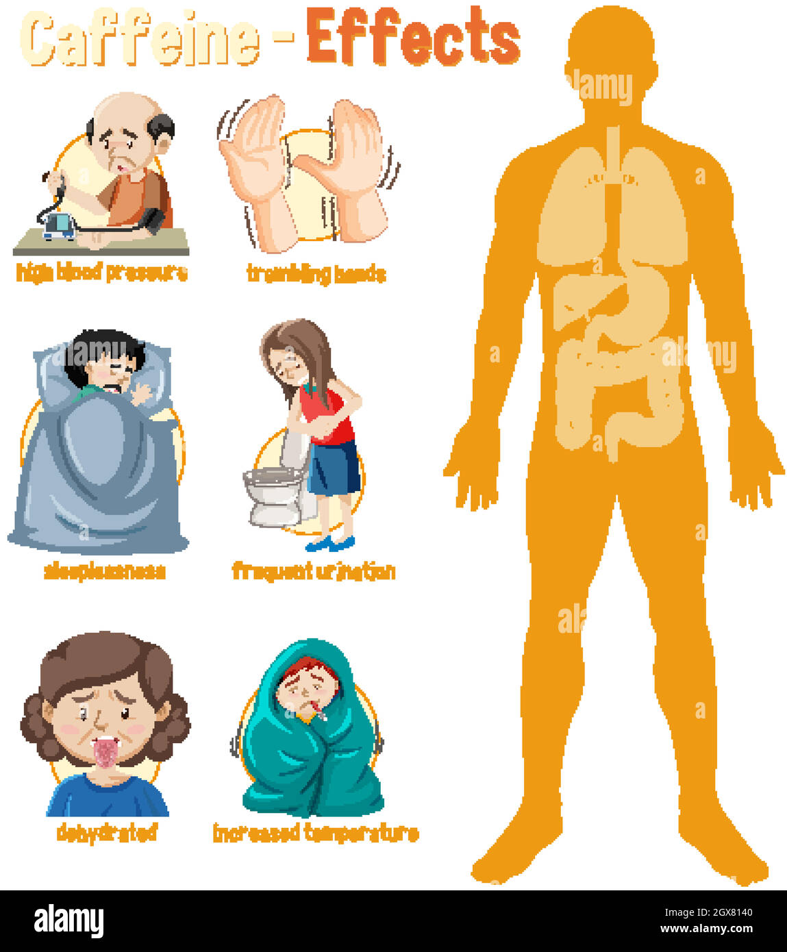 Infographie sur les effets de la caféine sur la santé Image Vectorielle ...