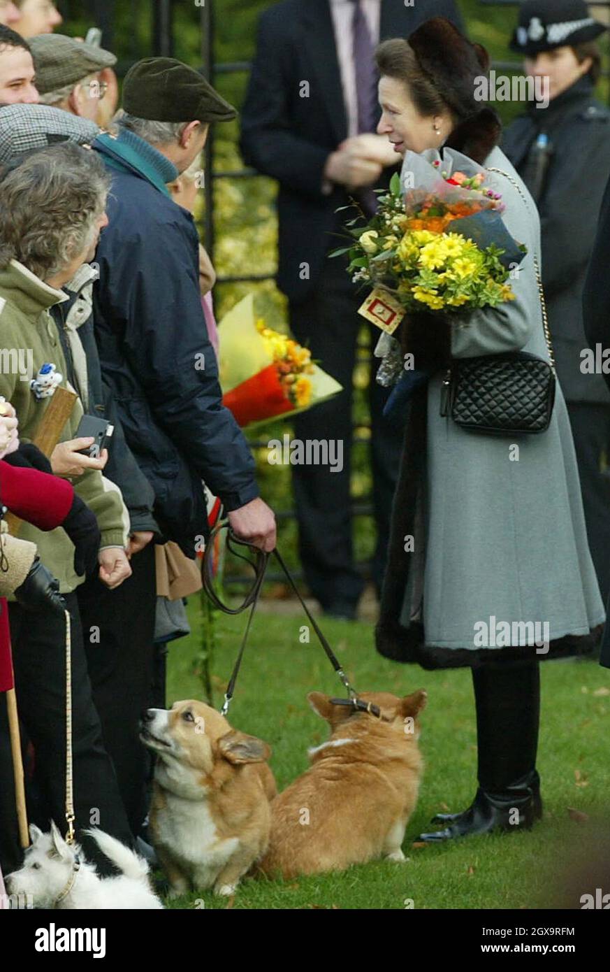 Les corgis font partie de la famille royale depuis 50 ans, mais la mort ...
