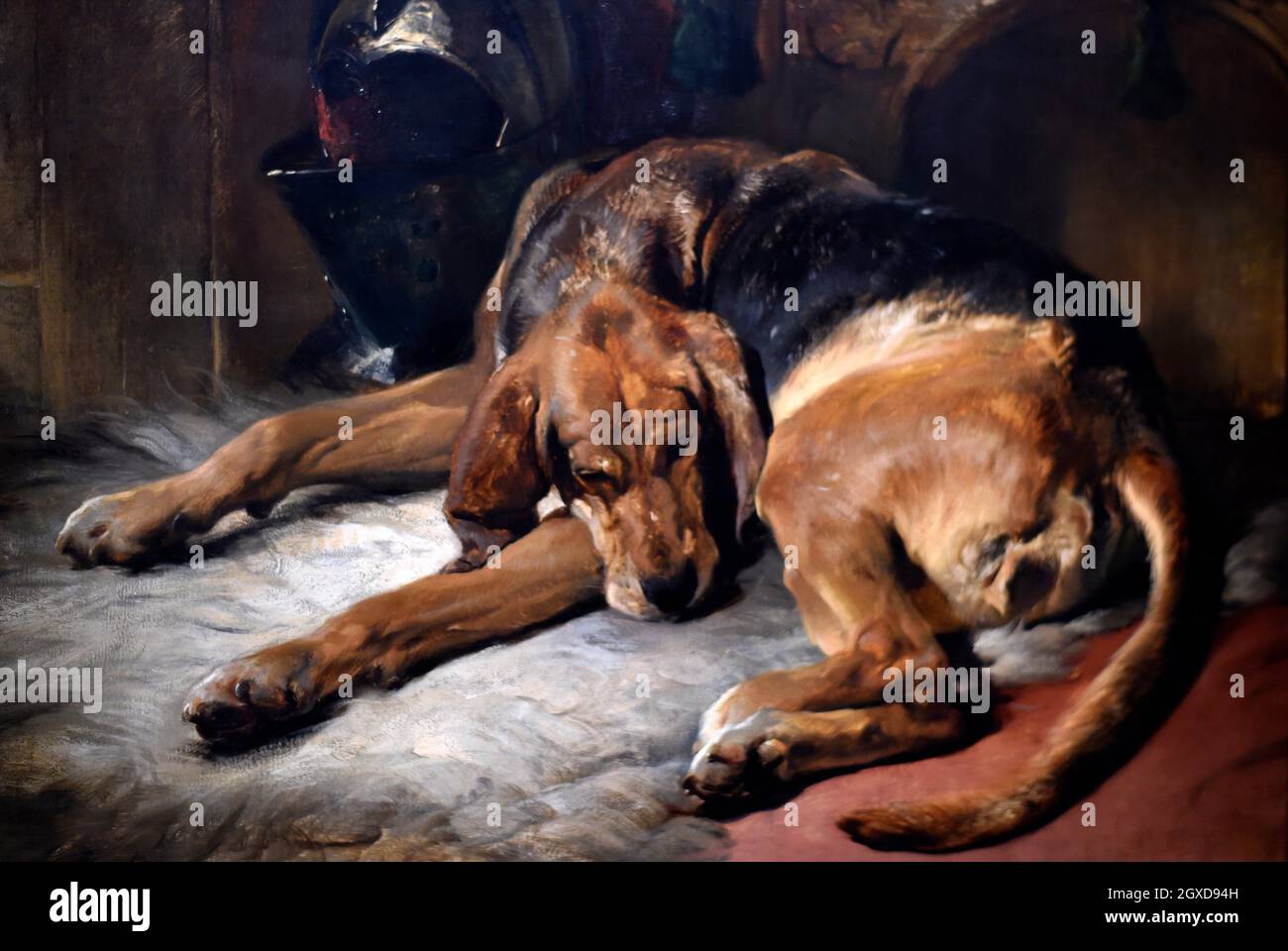 école britannique Banque de photographies et d’images à haute résolution - Alamy