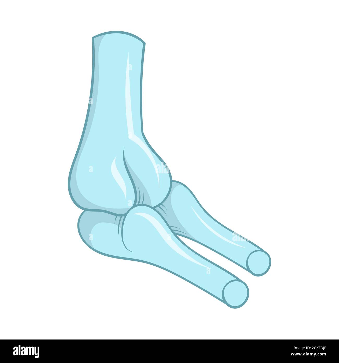 Icône OS de style dessin animé isolée sur fond blanc. Symbole des os ...