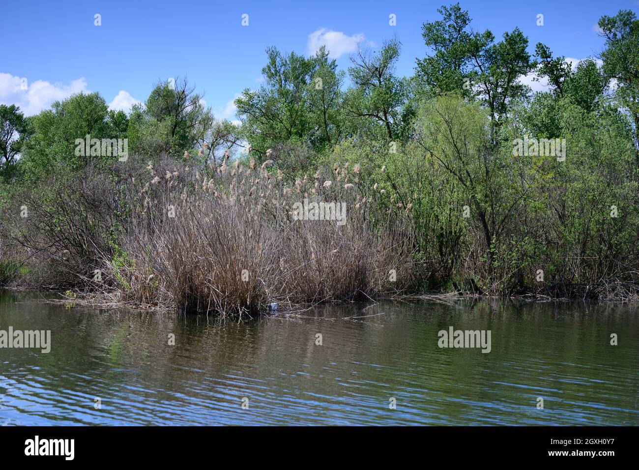 Paysages de plaine inondable Banque de photographies et d’images à ...