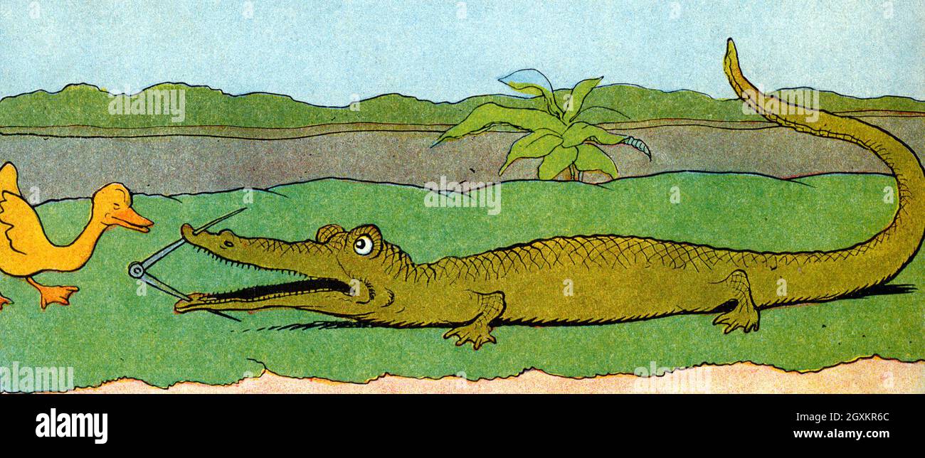 Canard et crocodile Banque de photographies et d’images à haute ...