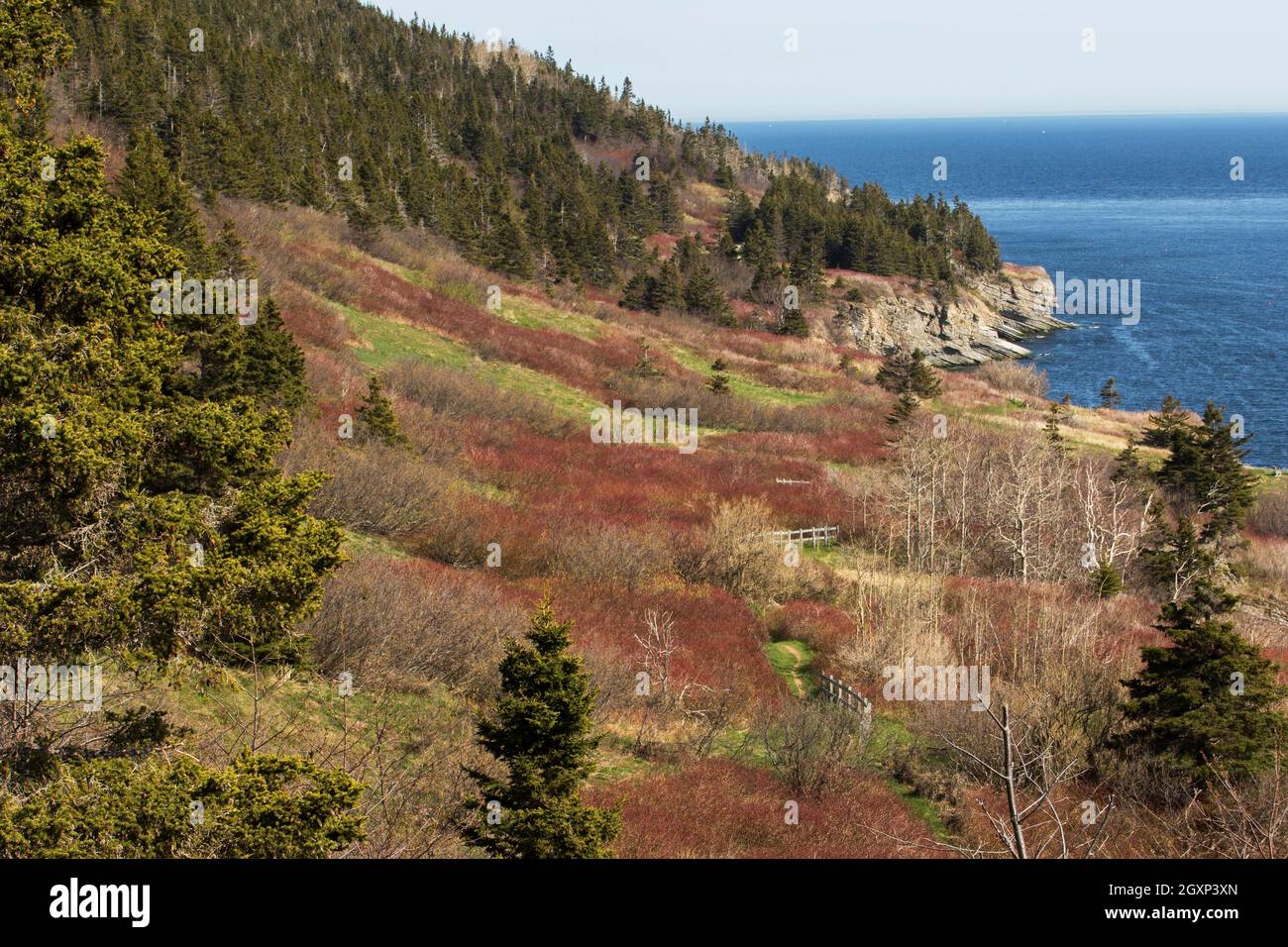 Parc national du canada forillon Banque de photographies et d’images à ...