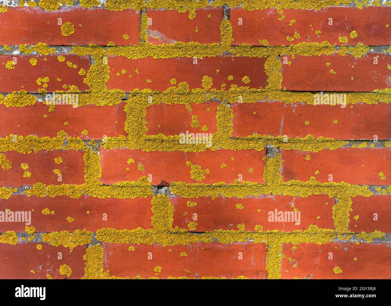 Monumentos historicos de conservacion Banque de photographies et d ...