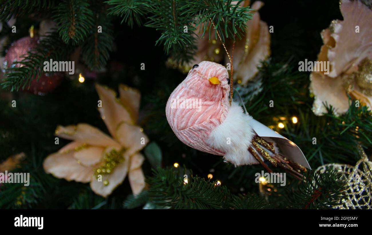 Oiseau de noel Banque de photographies et d’images à haute résolution ...