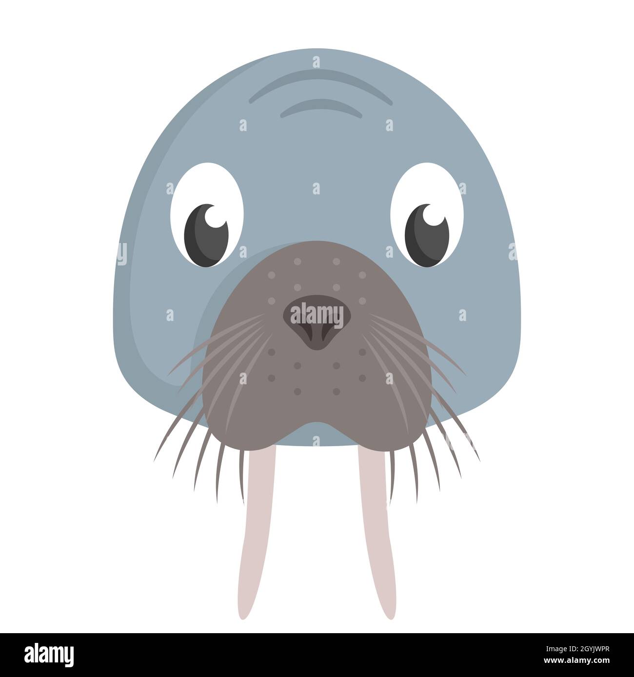 Vue de face du morse.Tête d'animal de style dessin animé Image ...