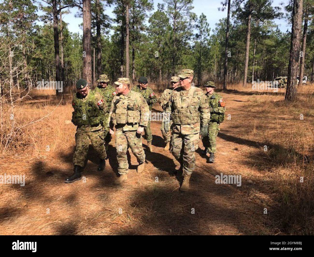 Col david gardner Banque de photographies et d’images à haute ...