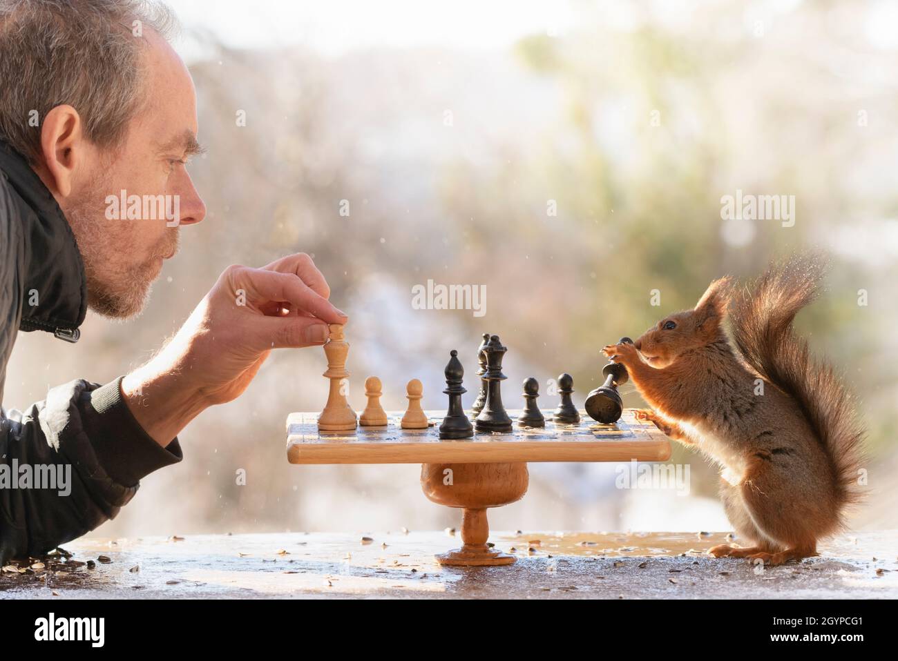 Chess humour Banque de photographies et d’images à haute résolution - Alamy