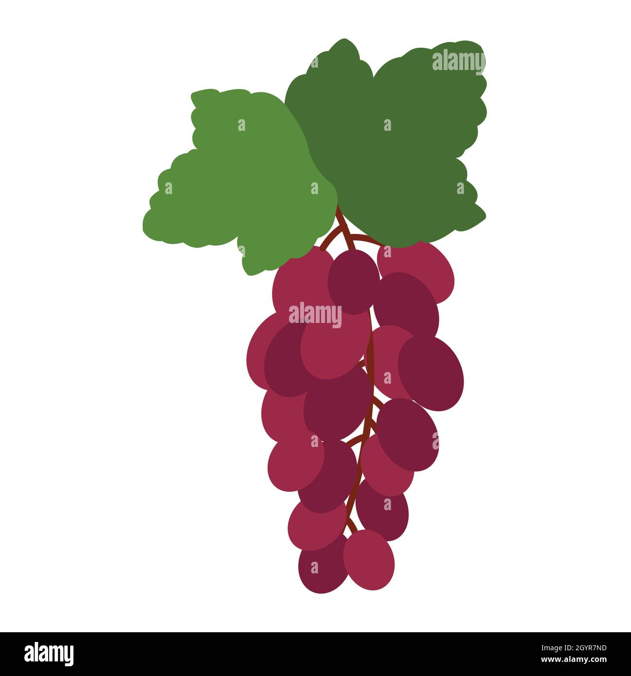 Dessin d'un raisin de style plat, image vectorielle, dessin d ...