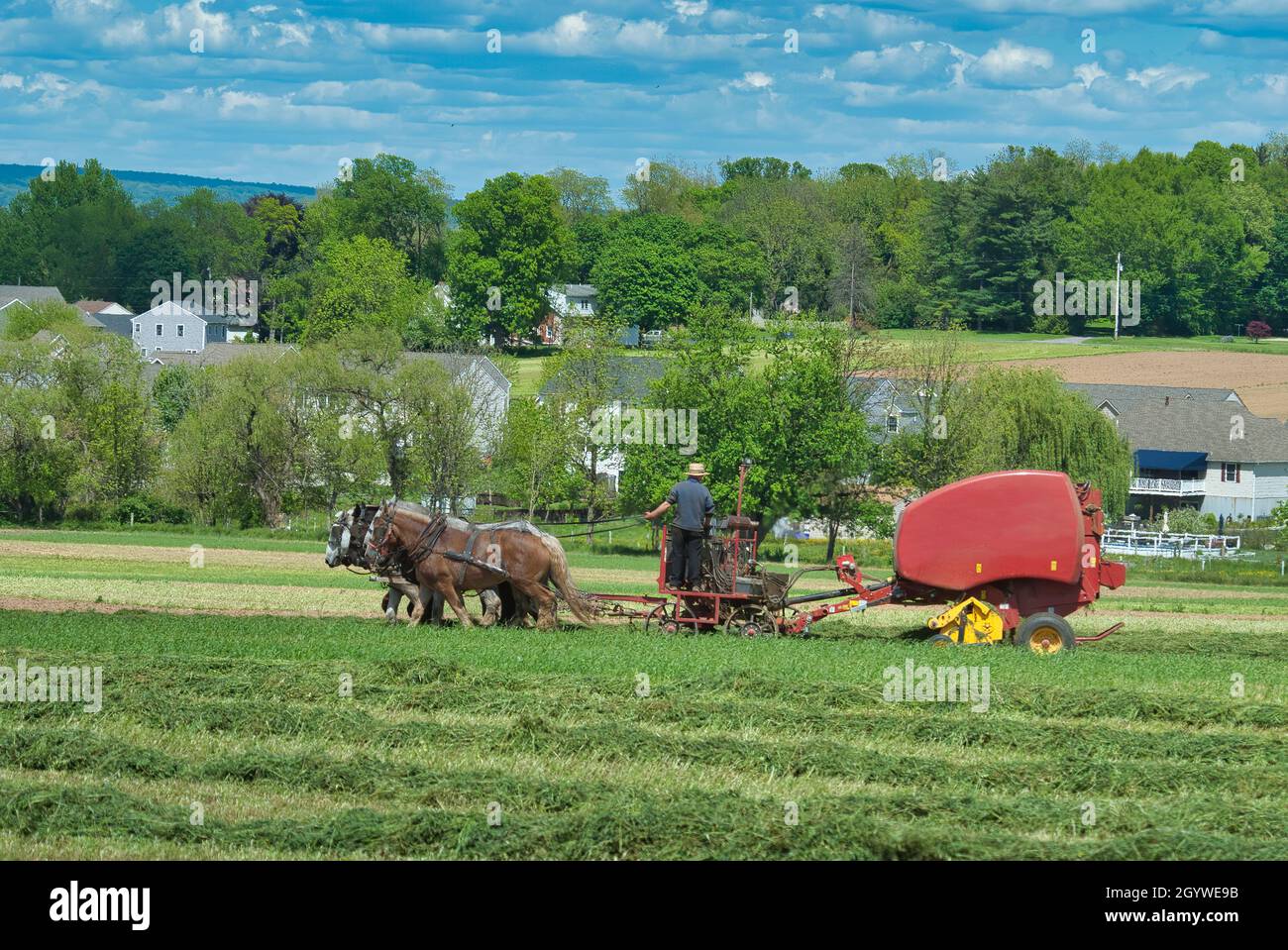 Charrue Tirée Par Un Cheval Banque d'image et photos - Alamy