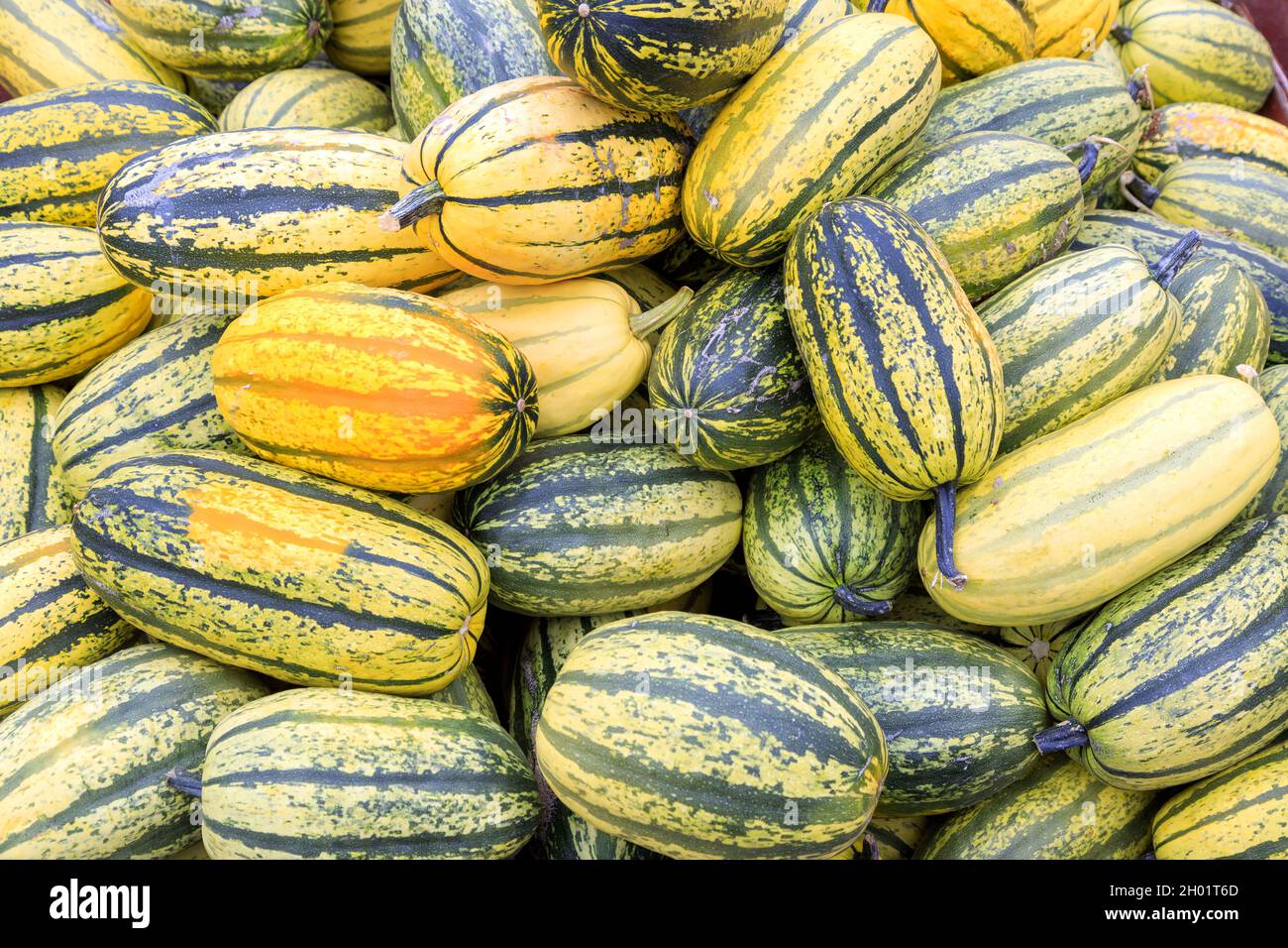 Affichage gourde Banque de photographies et d’images à haute résolution ...