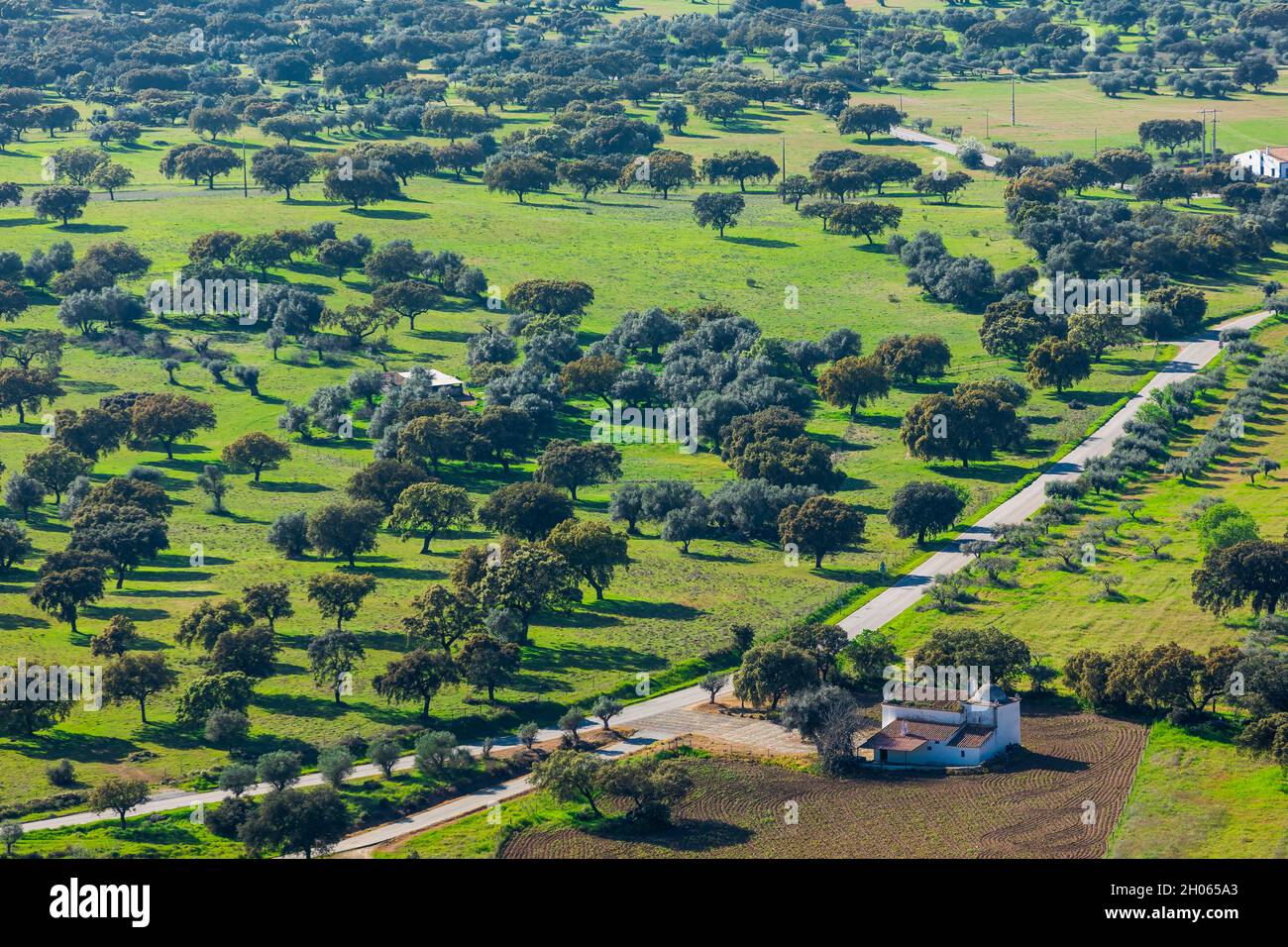 Alentejo paysage Banque de photographies et d’images à haute résolution ...