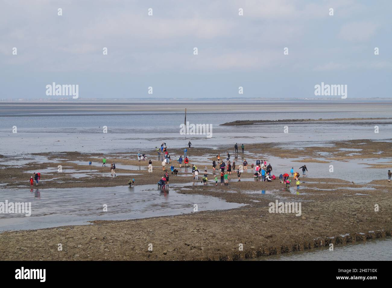Mer des wadden de l'allemagne du nord Banque de photographies et d ...