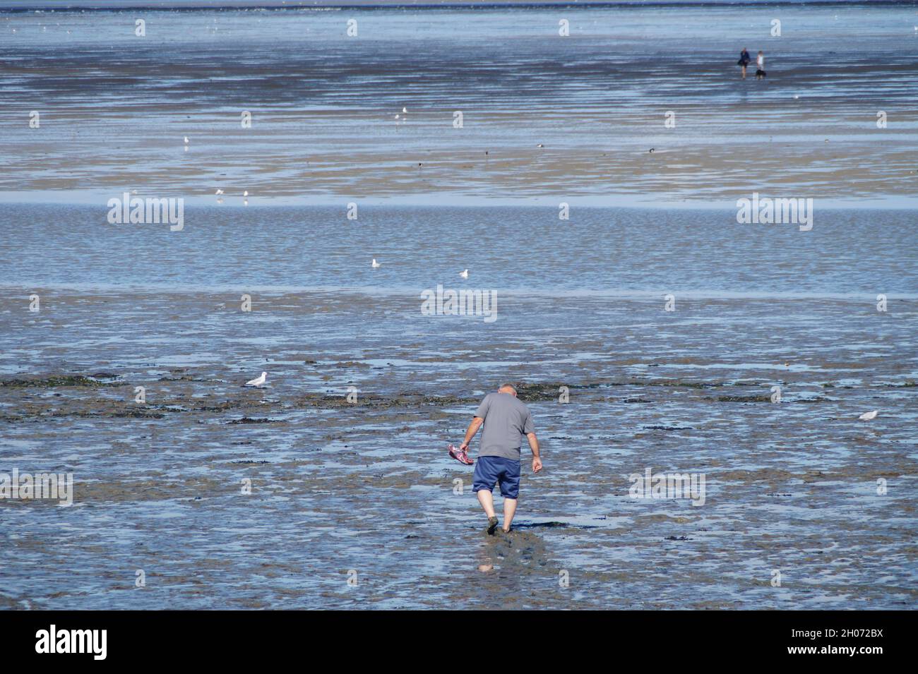 Mer des wadden de l'allemagne du nord Banque de photographies et d ...