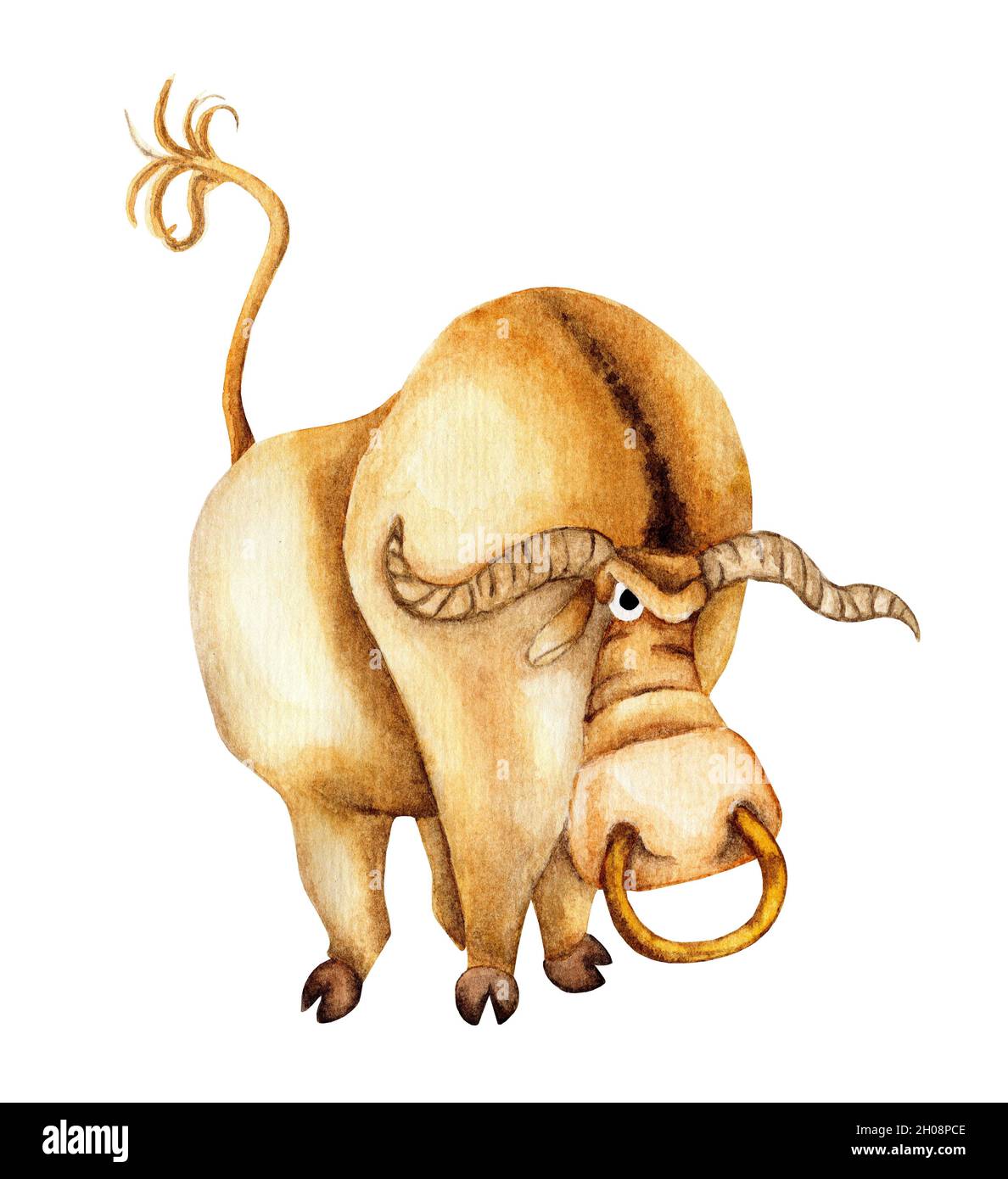Illustration aquarelle d'un taureau brun et beige avec de longues ...
