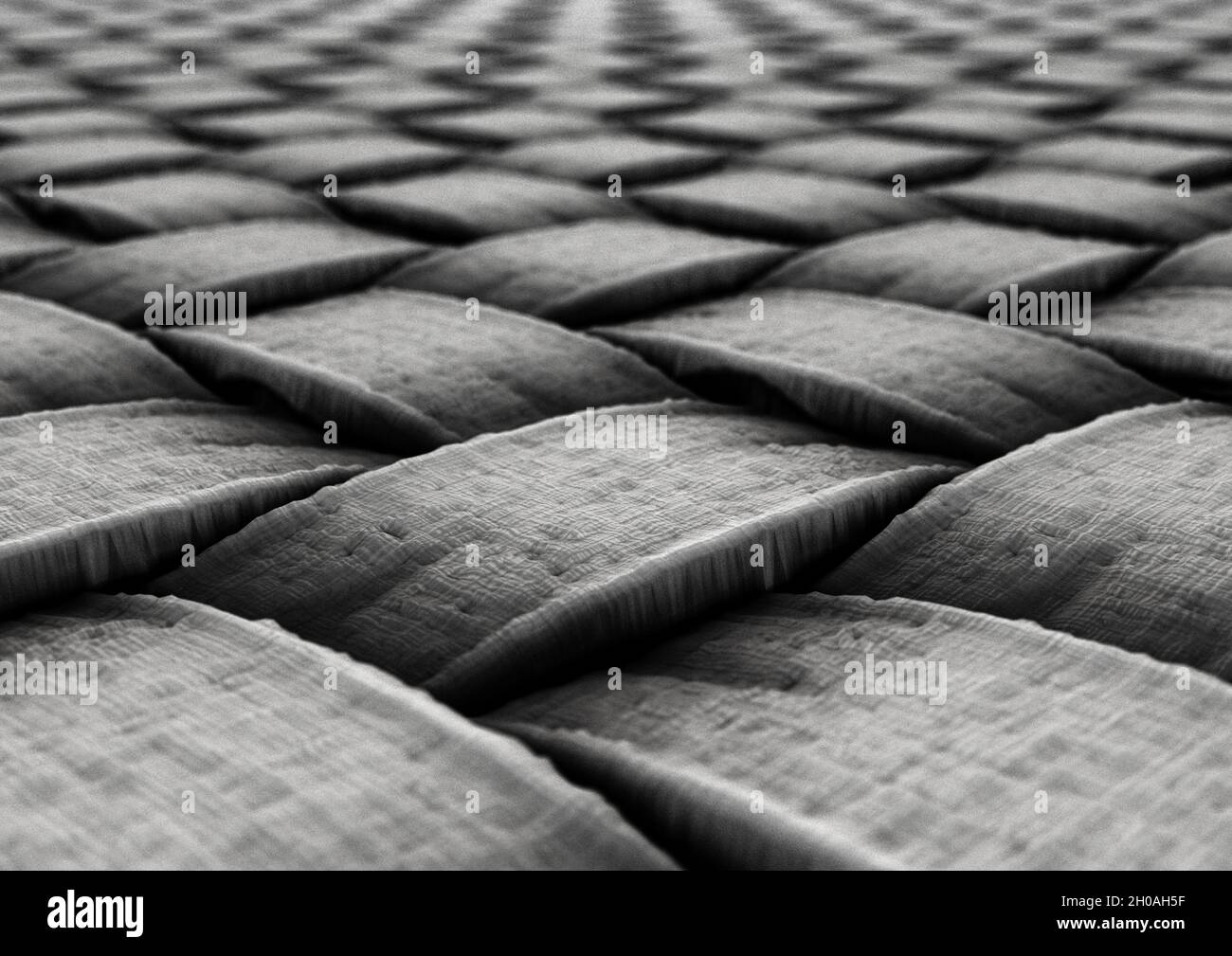 Vue microscopique Banque de photographies et d’images à haute ...