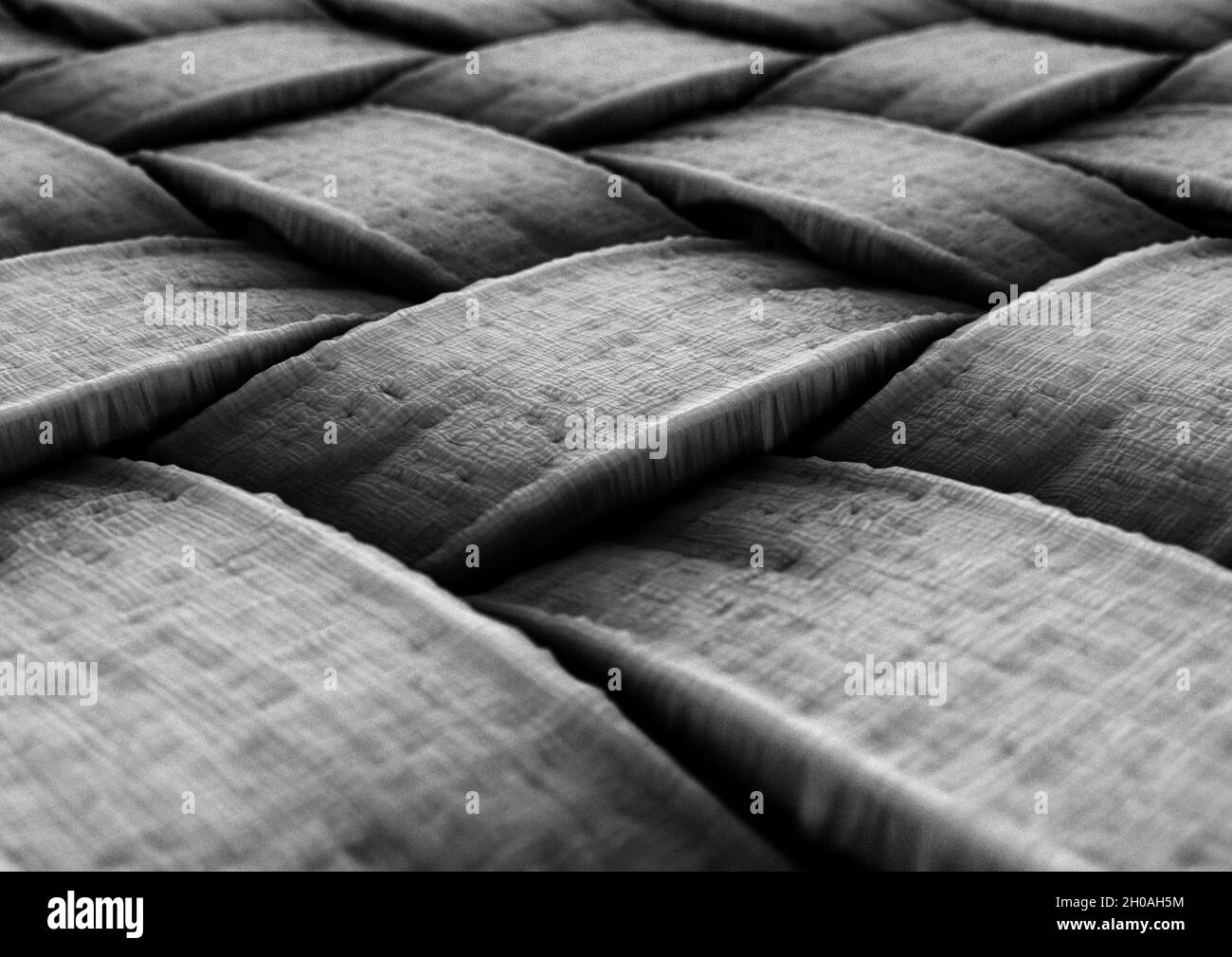 Vue microscopique Banque de photographies et d’images à haute ...