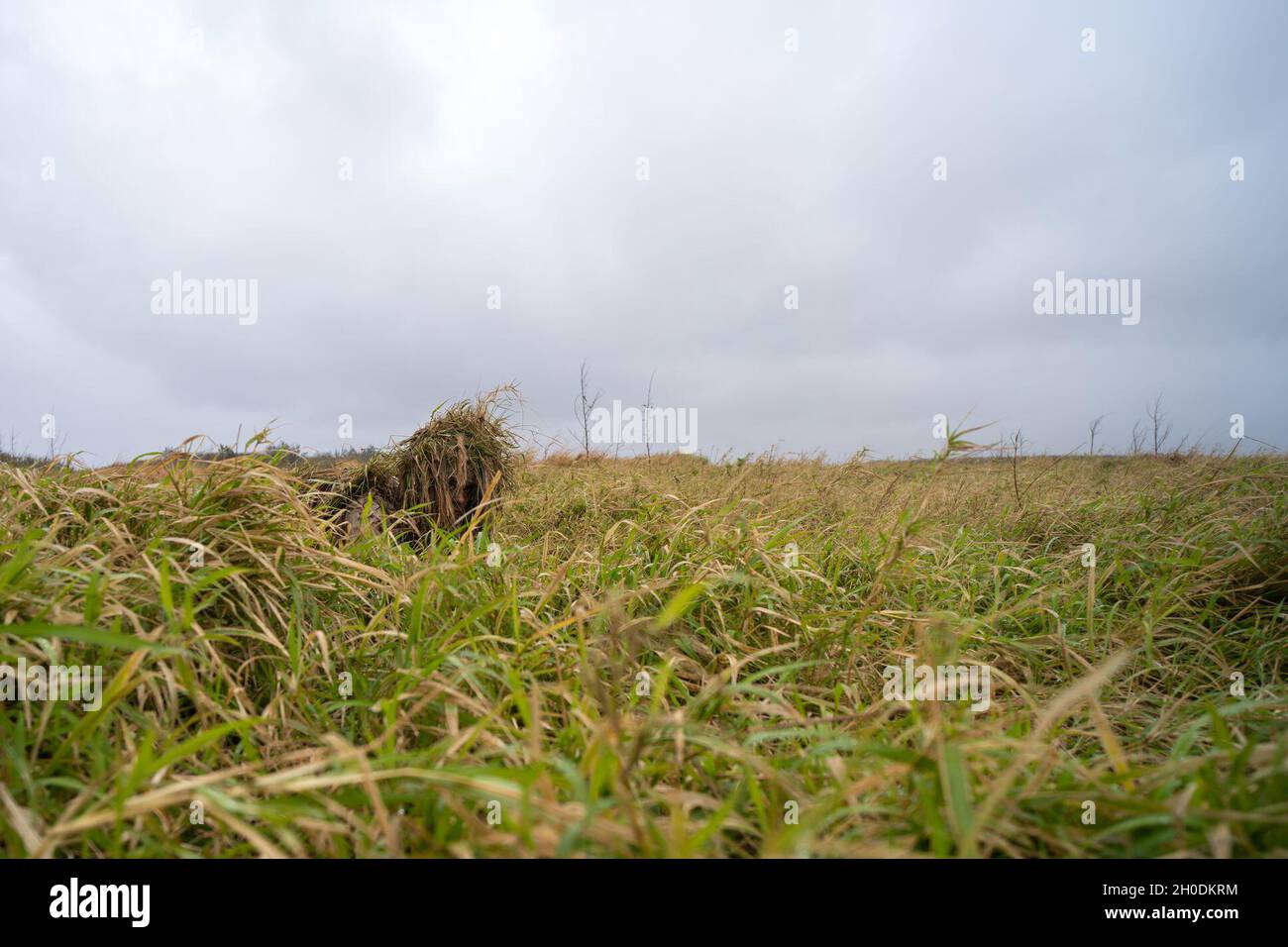 U s navy hospitalman 3rd class Banque de photographies et d’images à ...