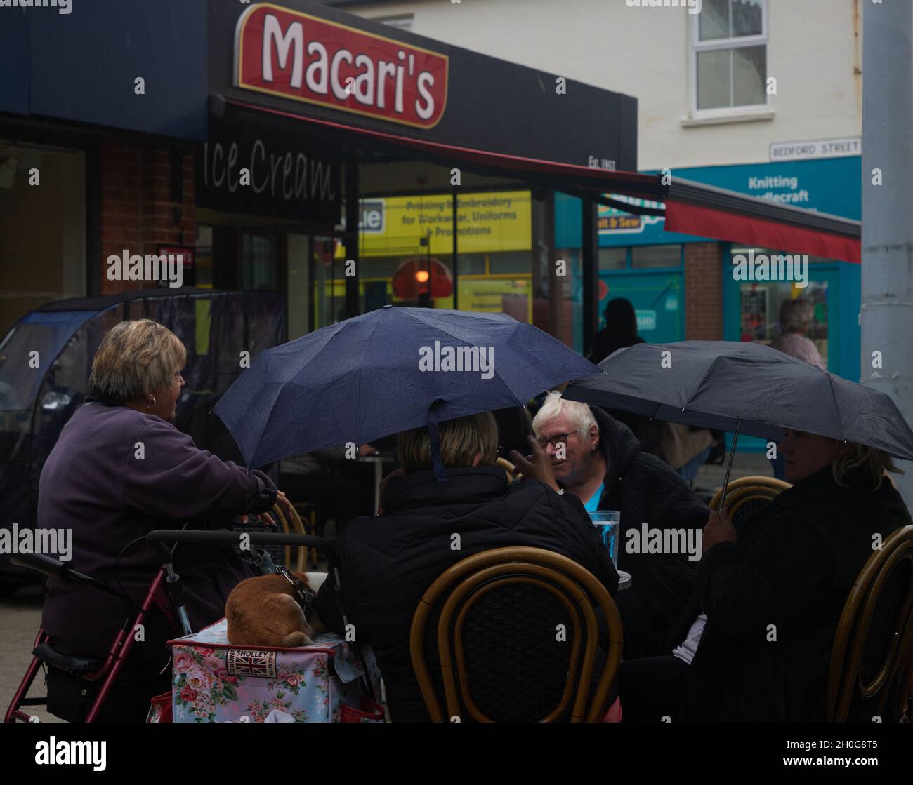 Macaris bognor regis Banque de photographies et d’images à haute ...