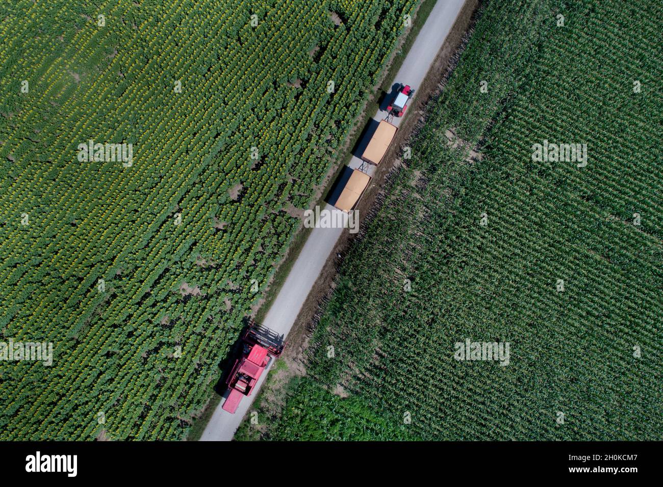 Image aérienne d'un tracteur avec deux remorques et d'une moissonneuse ...