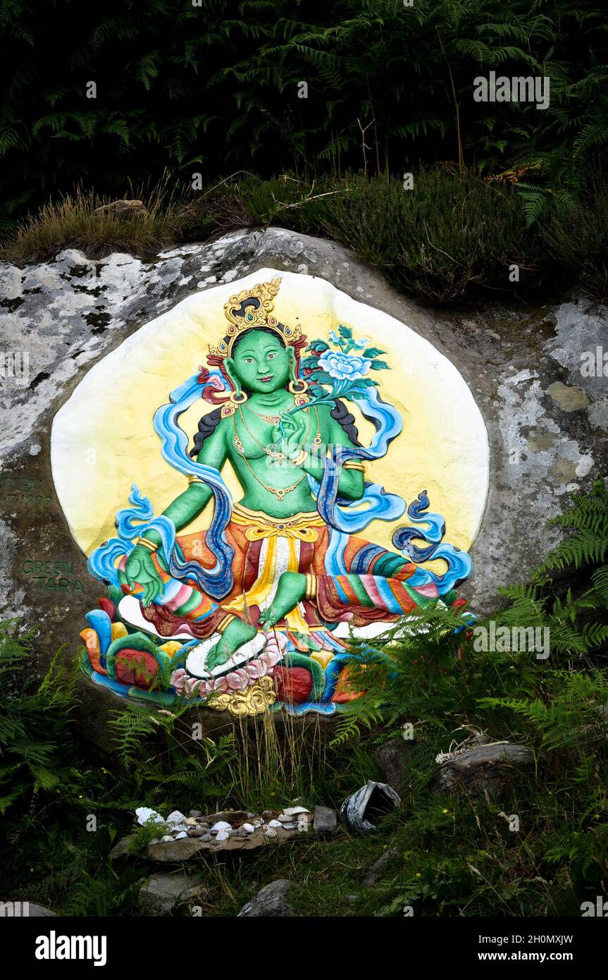 Tara de rocher Banque de photographies et d’images à haute résolution ...