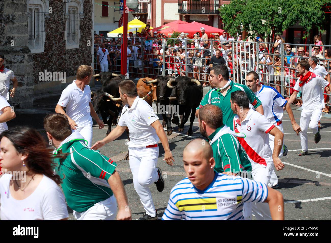 Taureaux dans une ville Banque de photographies et d’images à haute ...