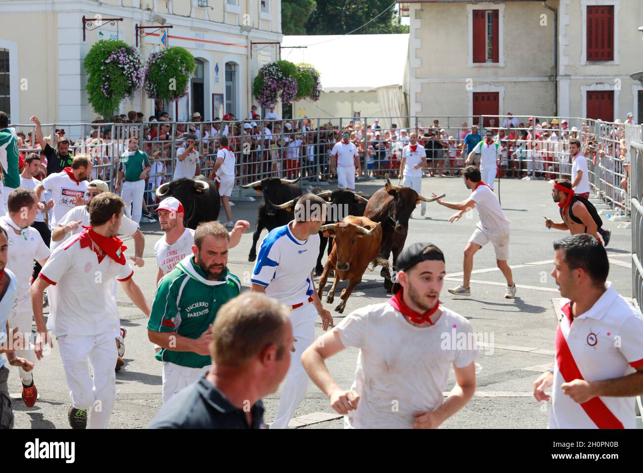 Vaches de france Banque de photographies et d’images à haute résolution ...