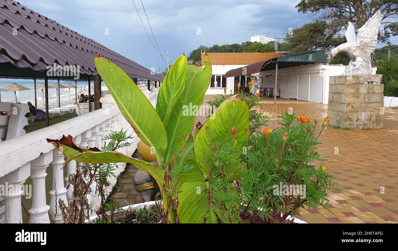 Tuapse tuapse district Banque de photographies et d’images à haute ...